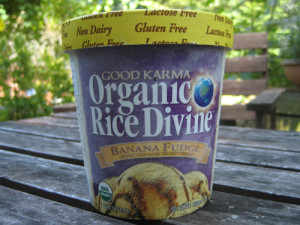 Vegan Ice Cream Challenge: Good Karma Organic Rice Divine - Eat Drink ...