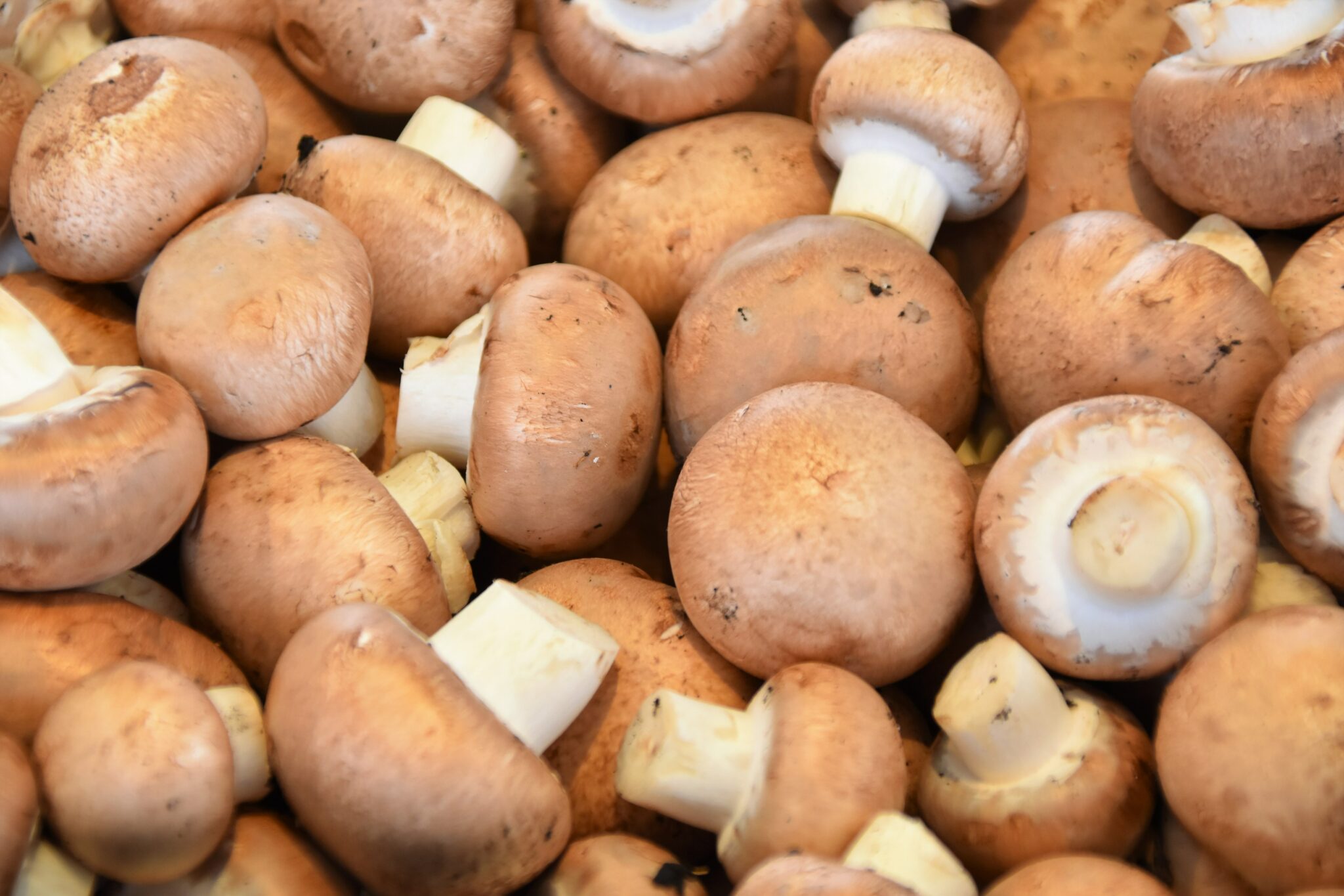Vegan Meat: 20+ Plant-Based Meat Alternatives & Substitutes - Eat Drink ...