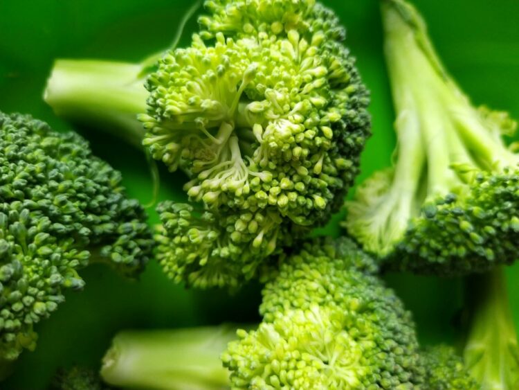 Vegan Choline Sources and Benefits - Eat Drink Better