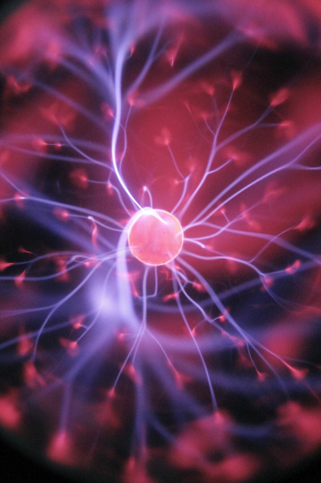 Vegan Healthy Fat Sources and Benefits - Eat Drink Better