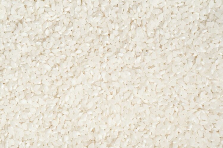 Vegan vs Gluten-Free - Eat Drink Better